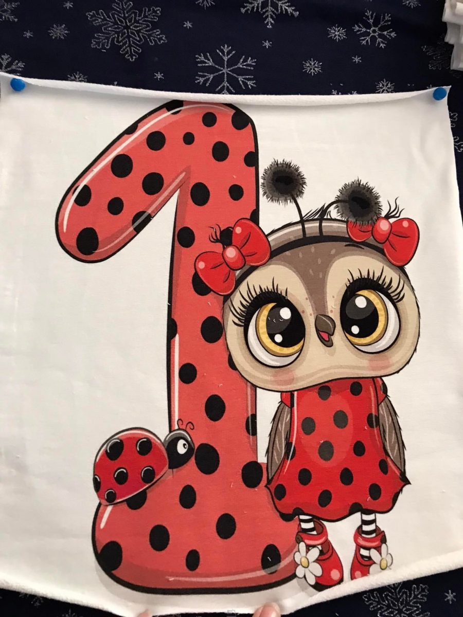 Jersio, skaitmeninės spaudos trikotažo panelė 45x50cm, Pelėdžiukė 1 ...